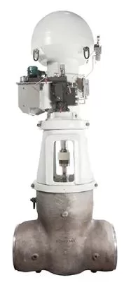 Flexible Split Wedge Gate Valves